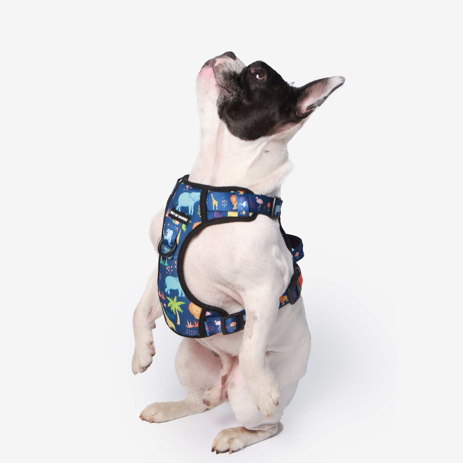 Jungle Ruff N' Tuff Harness – Mutt of Course