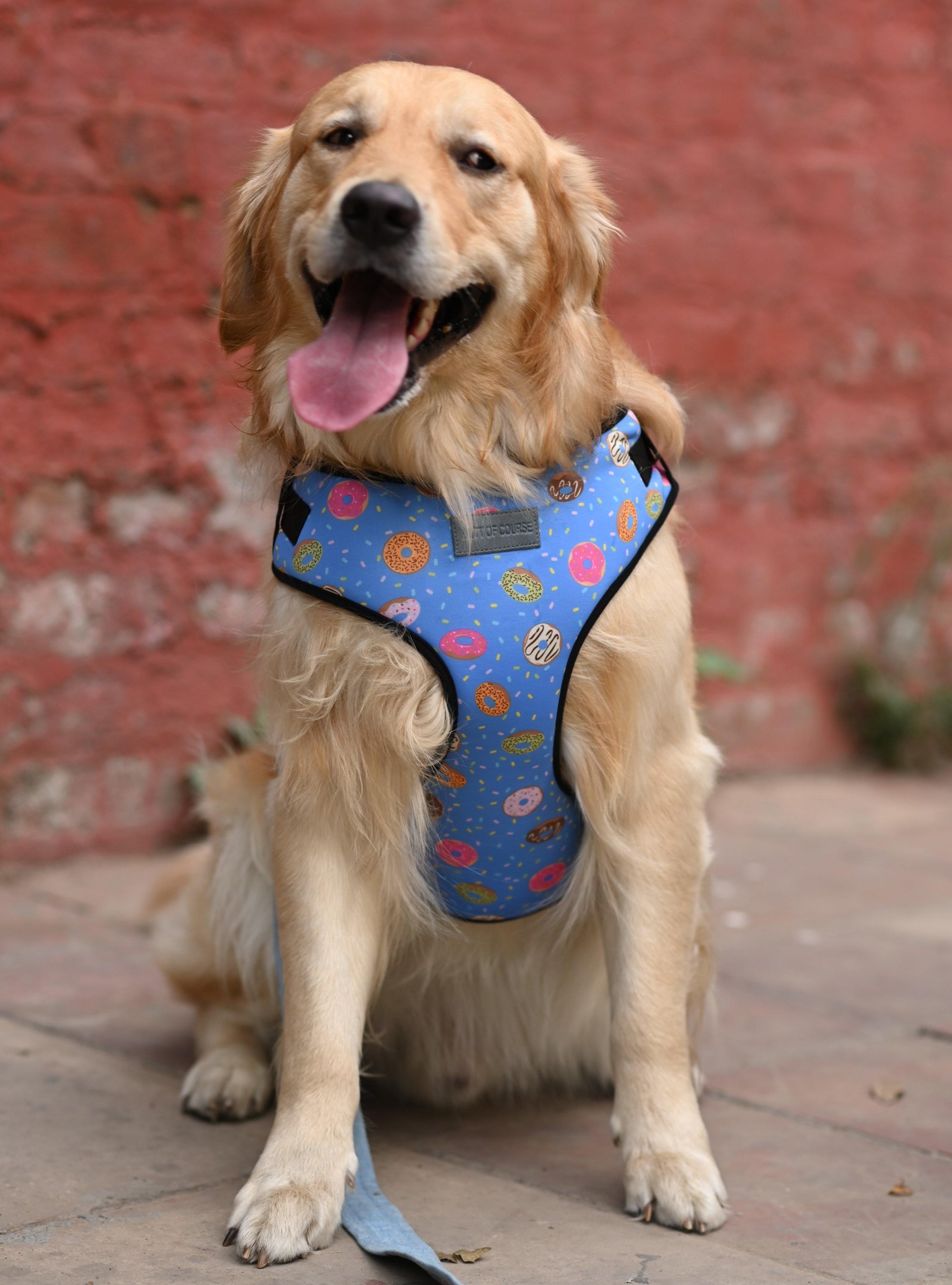 Doughnut Harness | Dog Harness – Mutt of Course